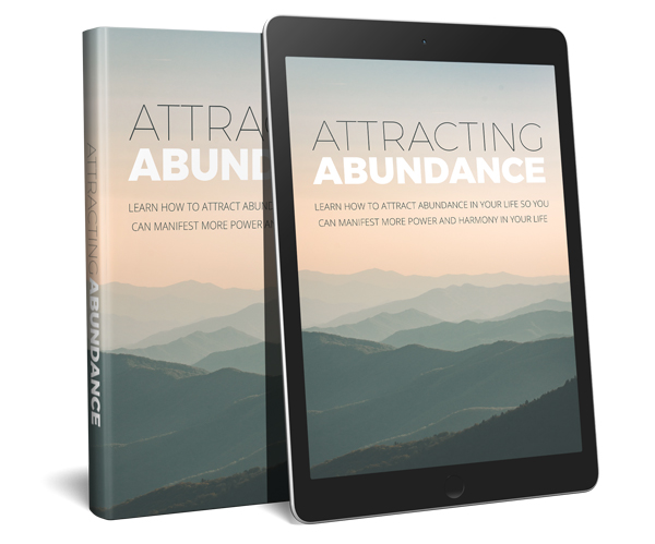 Attracting Abundance PLR Lobby Attracting Abundance PLR Lobby